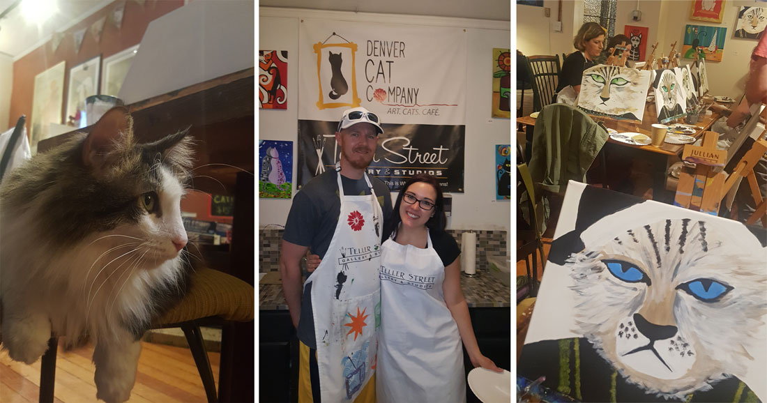 Top 7 Animal Encounters Near Denver Colorado - Trailing Away