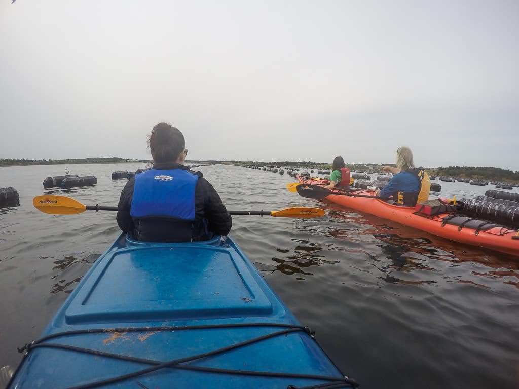 7 Fantastic Outdoor Activities in Prince Edward Island