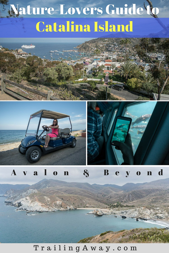 Getaway to Catalina Island: Avalon & Beyond - Trailing Away