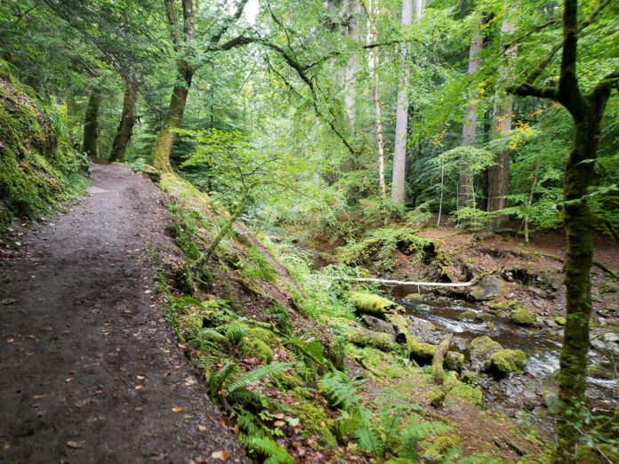 3 Gorgeous Waterfalls Near Inverness, Scotland - Trailing Away