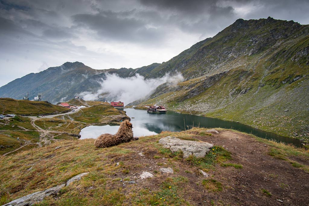 24+ Top Places to Visit in Romania in October