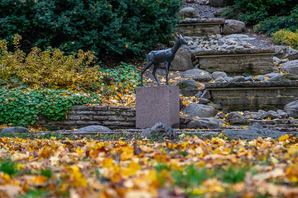 Must-Do in Estonia: Free Walking Tour of Tallinn with Tales of Reval ...