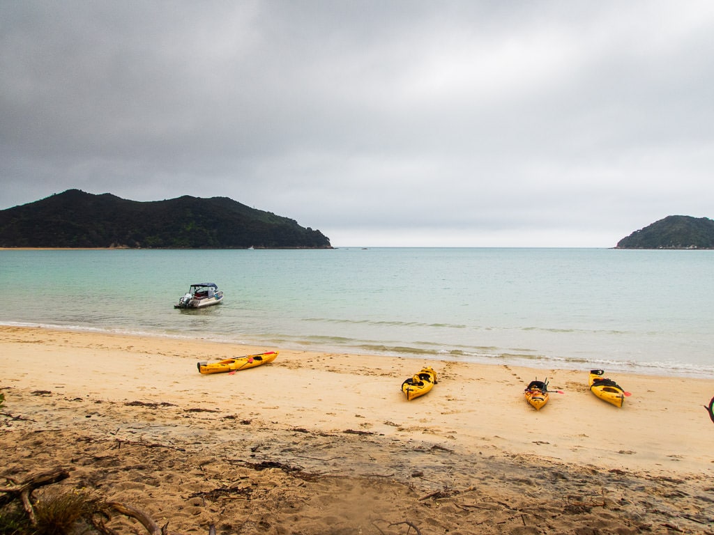 Great Abel Tasman Kayak Tour of Tonga Island Marine Reserve