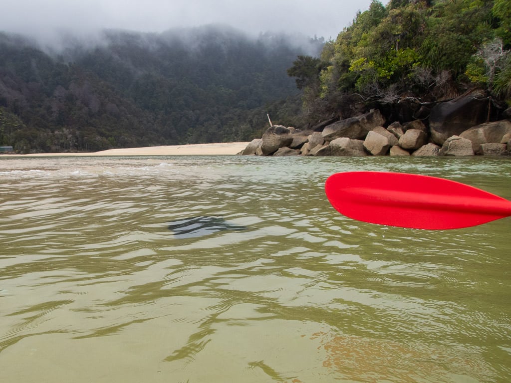 Great Abel Tasman Kayak Tour of Tonga Island Marine Reserve