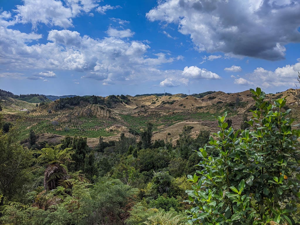 Flipping Over Tutea Falls: Rotorua Rafting in New Zealand