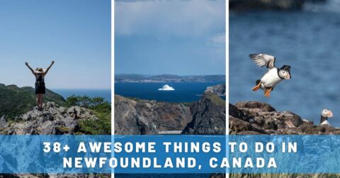 38 Awesome Things to Do in Newfoundland - Trailing Away